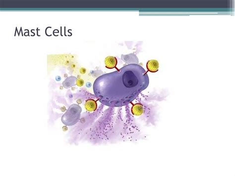 Histology Of Pulp Pptx Dental Health Diseases And Conditions