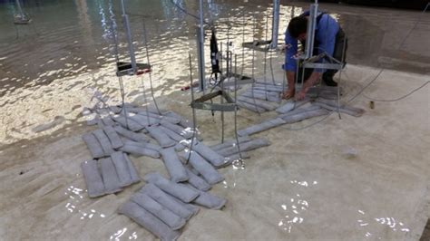 How Artificial Reefs Prevent Erosion And Enhance Coastal Resilience