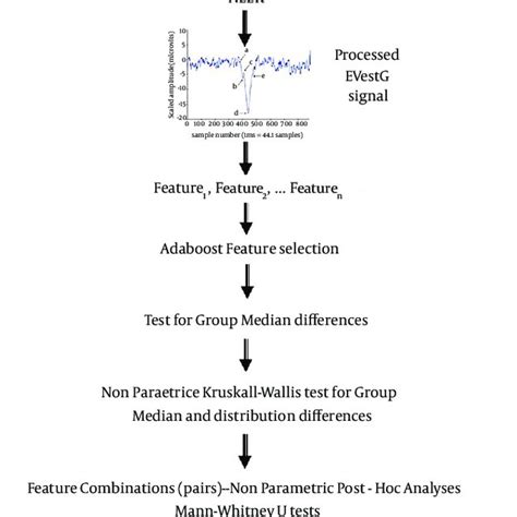 Schematic Flowchart Of The Data Processing Download Scientific Diagram