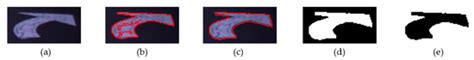 remote sensing free full text development of an automated