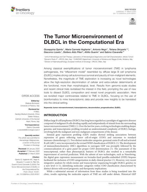 Pdf The Tumor Microenvironment Of Dlbcl In The Computational Era