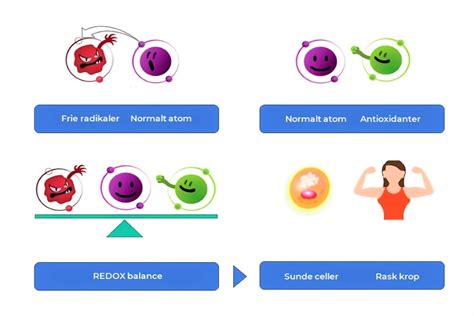 Redox Signalmolekyler Redox