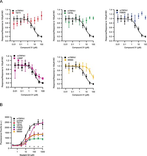 Single Point Mutations Reduce Inhibition By Compound 31 A Download Scientific Diagram