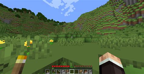 Why is my grass like this with optifine? : r/Optifine