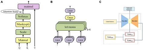 Frontiers Multi Head Attention Based Masked Sequence Model For Mapping Functional Brain Networks