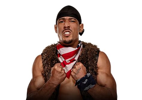 Ar Fox Profile Career Stats Titles And Gimmicks Pro Wrestlers Database