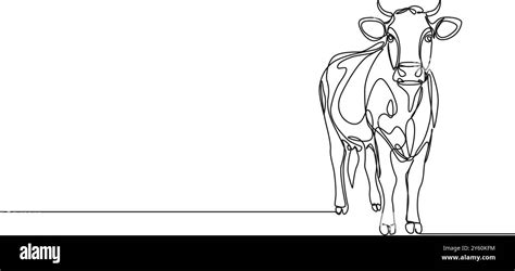 Continuous Single Line Drawing Of A Cow Line Art Vector Illustration