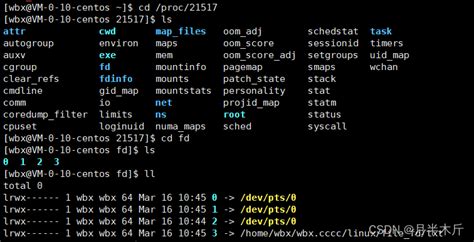文件描述符与文件流指针：深入解析与重定向 Csdn博客