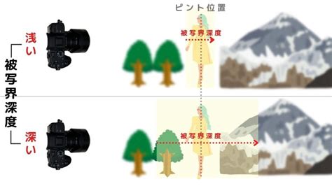 【図解】被写界深度とは？レンズやf値との関係性｜早見表と計算も紹介！ カメラの大学