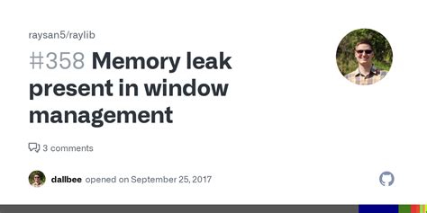 memory leak present in window management · issue 358 · raysan5 raylib