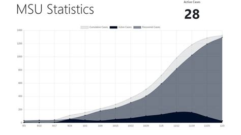Msu Statistics