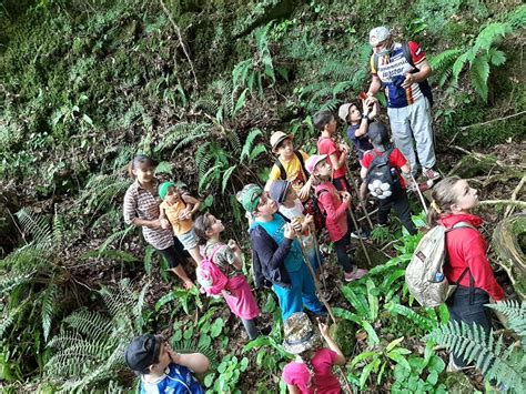 გაკვეთილების ცხრილი 2019 2020 სასწავლო წლისთვის Etaloni Ge სა და Izrune Ge სგან ეტალონი