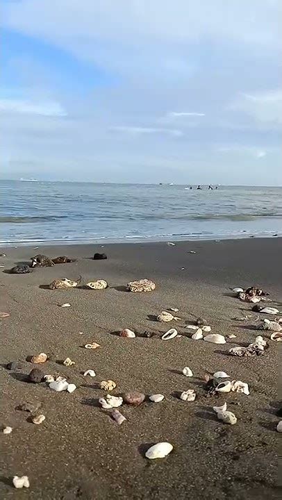 Garden Coast Beach Resort Capipisa Tanza Cavite Youtube