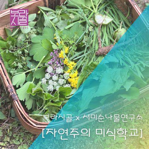 보라시골 X 서미순나물연구소 자연주의 미식학교 1기 모집합니다 네이버 블로그