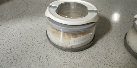 The Rice Experiment This Will Blow Your Mind