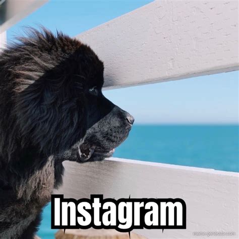 Instagram Meme Template