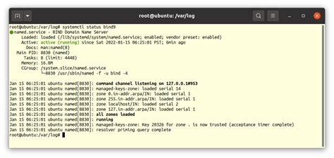 Cant Start Bind9 Lab 6 1 Configure Caching Dns — Linux Foundation Forums