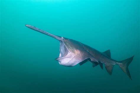 Learn Underwater Photography