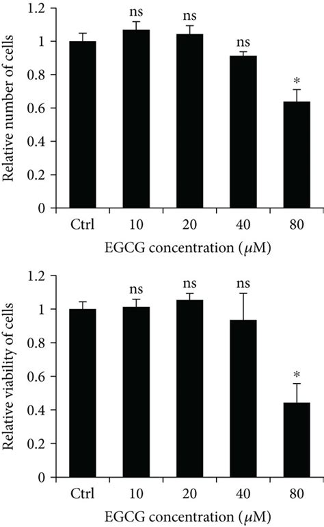 Egcg Induces Autophagy In A Concentration Dependent Manner Hek293t