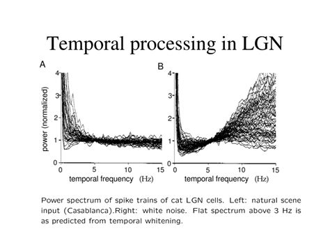 ppt spike train decoding and neural information processing powerpoint