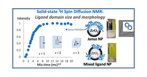 Nmr Characterization Of Nanoscale Surface Patterning In Mixed Ligand