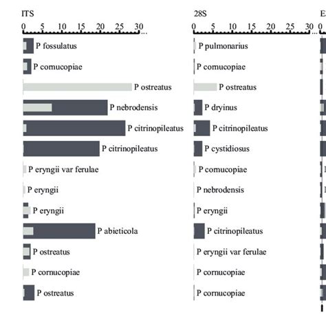 Comparisons Of Intra And Interspecific Variations Among The Its 28s Download Scientific
