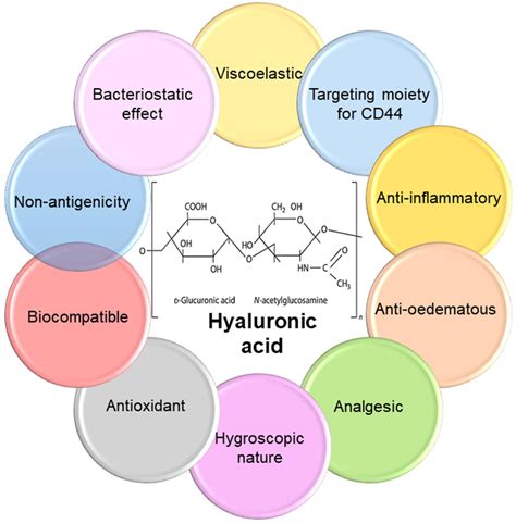 Chemical Structure And Properties Of Hyaluronic Acid Ha Is A Natural
