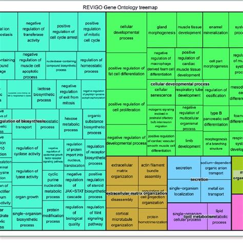 Pathways Exhibiting Alterations With Sex And Hypertrophy Listed Are
