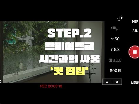 영상감독이 알려주는 프리미어 프로 기초 컷편집 방법 Step2 In And Out 편집