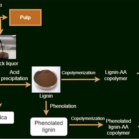 Effect Of Reaction Temperature On Copolymerization Download