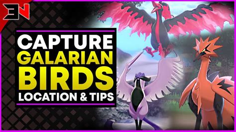 How To Catch Galarian Zapdos Galarian Moltres Galarian Articuno