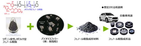 バイオマス原料を活用した環境対応フェノール樹脂成形材料の開発について 住友ベークライト株式会社