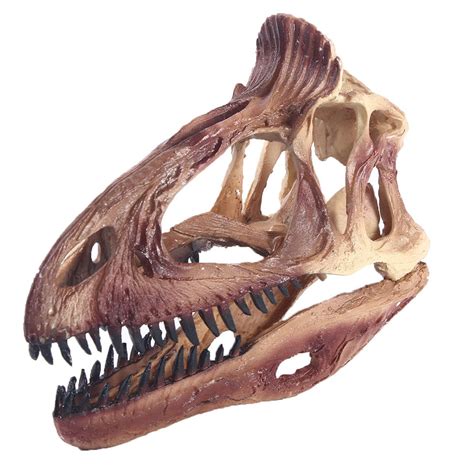 Cryolophosaurus Skeleton