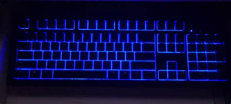 Steelseries Apex 100 Gaming Keyboard 2 Pack Daily Deal Woot