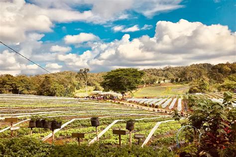 The 12 Prettiest Spots In Davao City You Wont Believe Exist