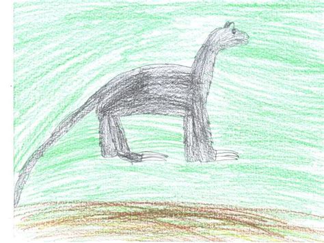 Tree Kangaroo Drawing At PaintingValley Com Explore Collection Of Tree Kangaroo Drawing