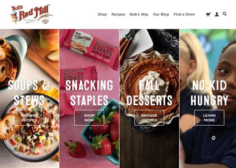 Magento 2 Demo Store Frontend Backend Working 2022