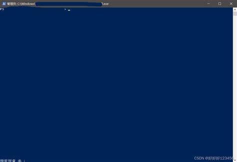 Visual Studio Code 运行时无法在界面下方查看调测结果，报错：timed Out Waiting For Launcher