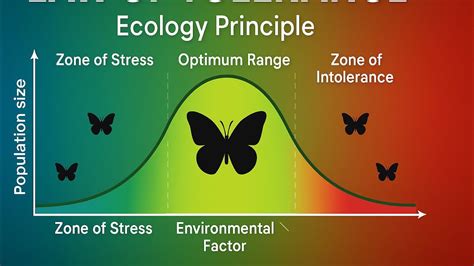 Shelfords Law Of Tolerance Ecology Principle With Examples