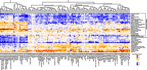 clustering of 127 tissues cell types using the normalized mean