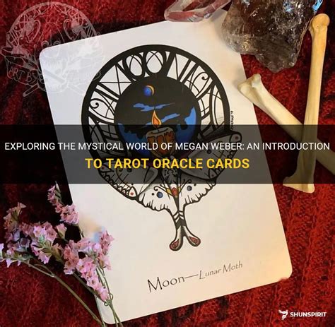 Exploring The Mystical World Of Megan Weber An Introduction To Tarot Oracle Cards Shunspirit