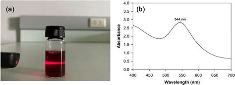 Color And Tyndall Effect A And Uv Vis Spectrum Of Cs Aunp Solution B Download Scientific