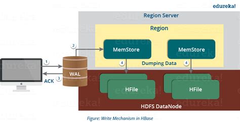 Hbase 架构：hbase 数据模型 And Hbase 读写机制 云社区 华为云