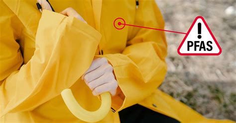 Lab Testing For Pfas In Consumer Goods Qima