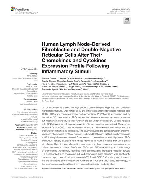 Pdf Human Lymph Node Derived Fibroblastic And Double Negative Reticular Cells Alter Their