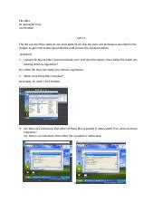 Analyzing Lab Exe And Lab Dll Malware Detection And Course Hero