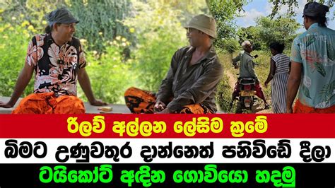 මේ පනුවන්ට කතා කරන හේන් ගොයියෝ බිමට උණුවතුර දාන්නෙත් පනිවිඩේ දීලා