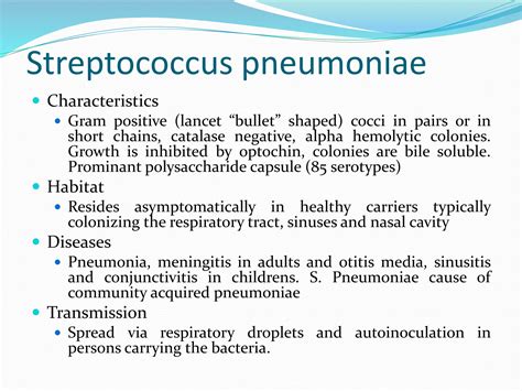 Streptococcus Microbiology Lecture 04 Kmu Ppt