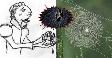 ရှေးခေတ်တုန်းက ပင့်ကူမျှင်များကို ပတ်တီးအဖြစ် ပြုလုပ်အသုံးပြုခဲ့