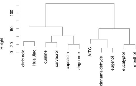 dendrogram from agglomerative hierarchical clustering of the sorting